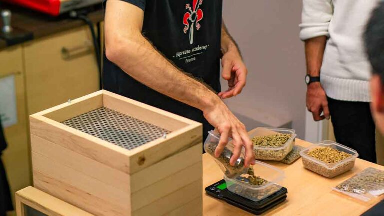 Green Coffee Defects: Complete Guide with Examples and SCA Table ...